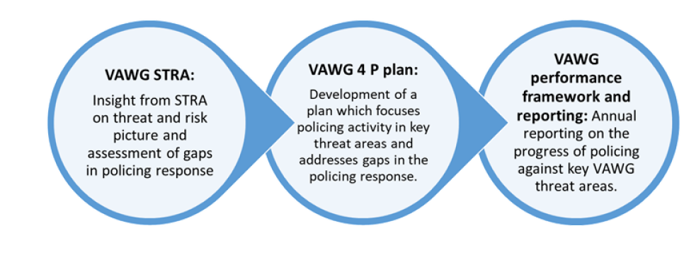 Strategic Threat and Risk Assessment of Violence Against Women and ...